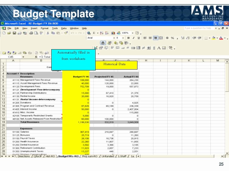 40 Nonprofit Operating Budget Template Markmeckler Template Design
